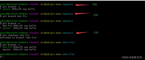 Git 》分支操作与团队协作 极客之音