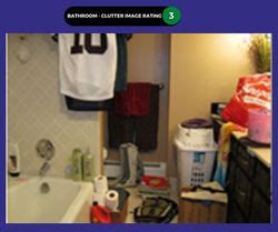 CLUTTER IMAGE RATING SCALE Carlton Thomas