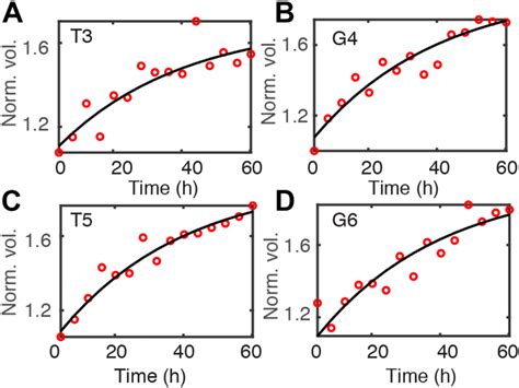A Transthyretin Monomer Intermediate Undergoes Local Unfolding And