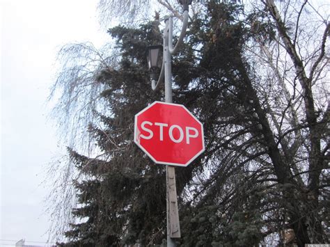 В Германии предложили прекратить поставки оружия на Украину ИА Красная Весна