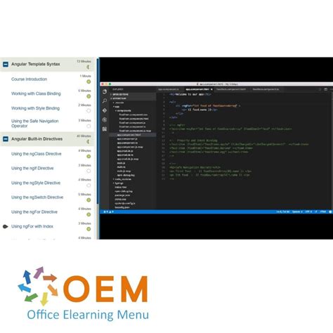 Angularjs 20 E Learning Training Oem