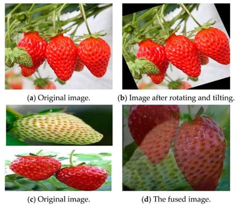 Research On The Strawberry Recognition Algorithm Based On Deep Learning