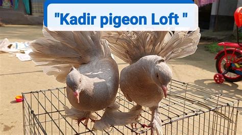 Video Sobahan Kadir On Linkedin Assalamualikum Alhamdulillah