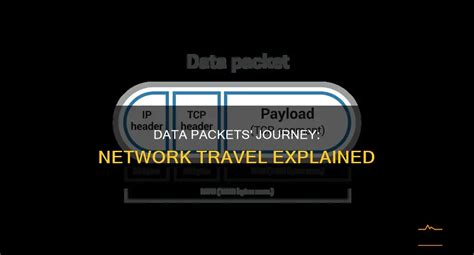 Data Packets Journey Network Travel Explained QuartzMountain