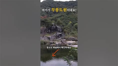 대구근교 멋진솔숲의 무릉도원노지캠핑 무료노지캠핑 무료노지차박 경북노지차박 무료차박지 노지차박지 화장실있는차박지 대구근교 카라반 캠핑카 스텔스차박