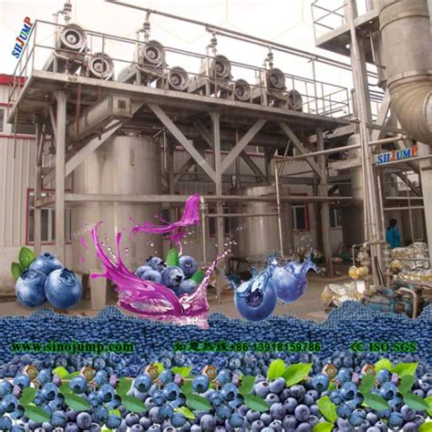 Peach Pulping Machine Mango Pulping Machine Peach Pulping Machine