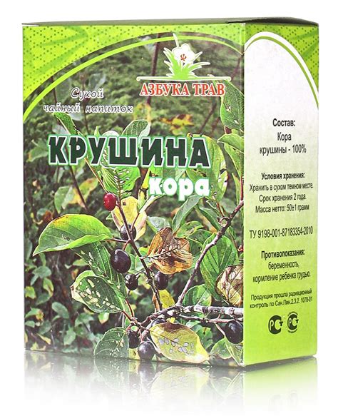 Жостер - лечебные свойства, инструкция по применению, фото