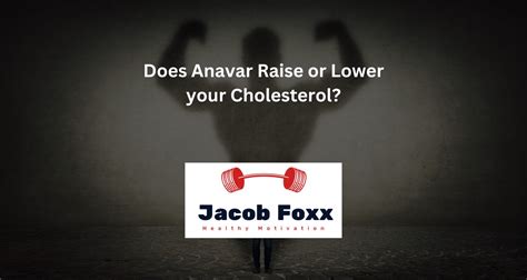 Does Anavar Raise Or Lower Your Cholesterol Revealed