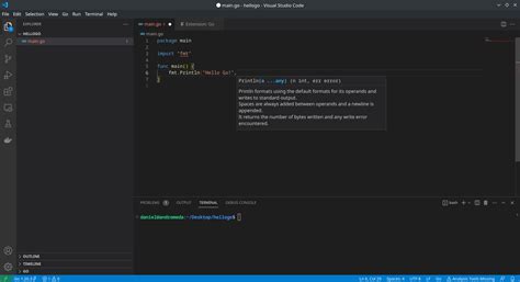 Getting Started With The Go Programming Language Golang Using Vs Code Gigi Labs