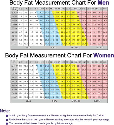 Buy Accu Measure Body Fat Caliper Handheld Bmi Body Fat Measurement