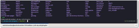 Terminal Setup With Zsh Tmux Dracula Theme André Brandão