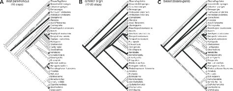 Alternative Scenarios For The Evolution Of Sl Trans Splicing In