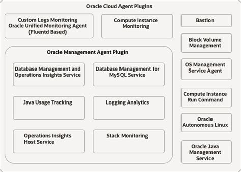Demisyfying Oci Logging And Monitoring Agent Types Oracle Cloud Agent Management Agent And