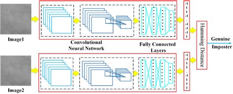 Schematic Diagram Of The Deep Biometric Hash Earning Dbhl Framework