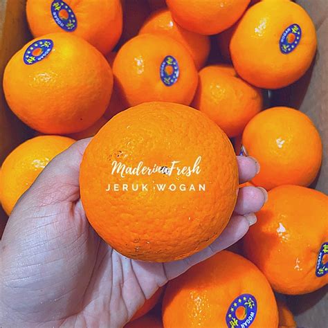 Jual Jeruk Wogan Shopee Indonesia