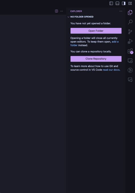 why do you do this r vscode