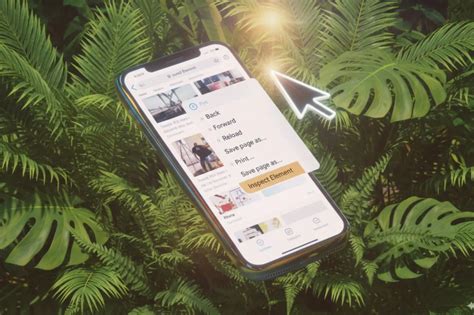 Inspect Elements On Iphone Easy Guide