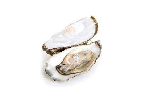 Spinel Vs Ruby Comparing The Two Stunning Gemstones Diamond Buzz