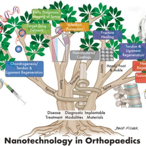 Diagram Illustrating The Areas And Uses Of Nanotechnology In