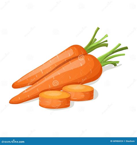 Carrot On White Stock Vector Illustration Of Love Collection 68986024