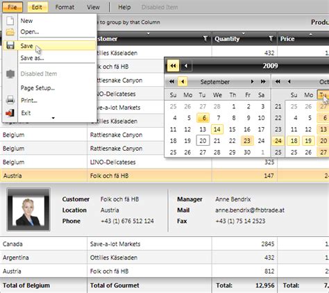 Q Themes Rework For Silverlight And WPF