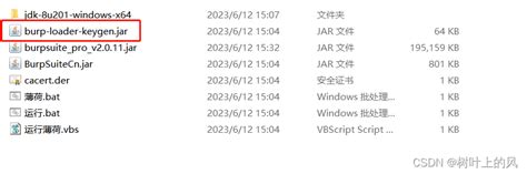 burpsuite安装过程问题解决 burpsuite安装不了 csdn博客