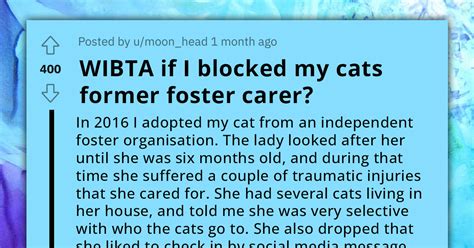 Redditor Considers Blocking Their Cats Former Foster Carer Over