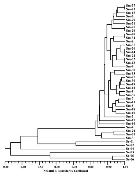 Upgma Dendrogram Analysis Of The 44 Genotype Set Based On 116 Est Ssr Download Scientific