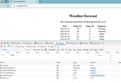 C Default Asp Net Core 9 And Angular Template Doesnt Work After