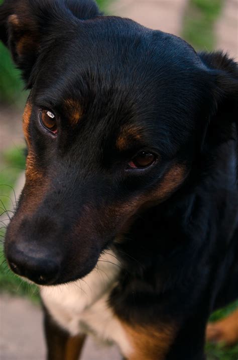 Captivating View By Dan4815 On Deviantart