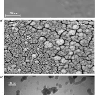 SEM Images Of The Bare GC Electrode Surface A And The CONM GC Download Scientific Diagram