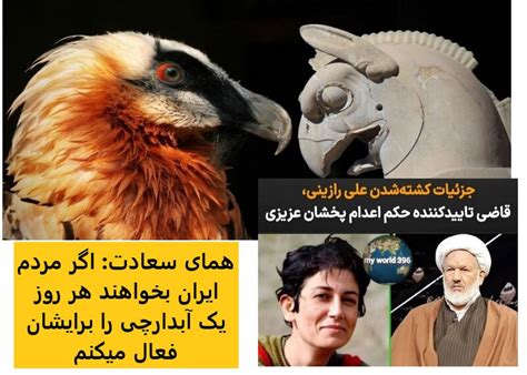 بالاترین همای سعادت و قضات شقاوت