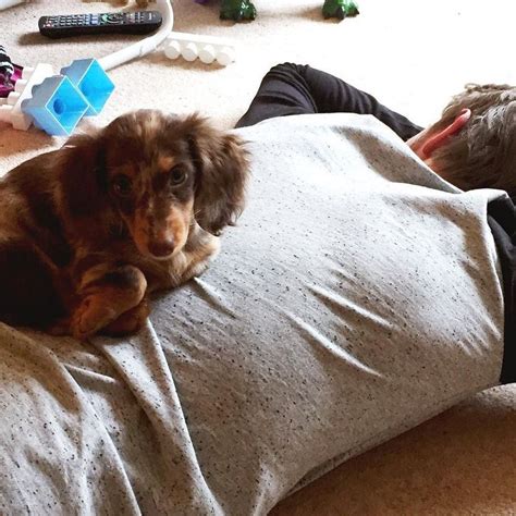 Bex On Instagram This Is The Happiest Paul Has Ever Been Nelly Is Perfect Kellandenny