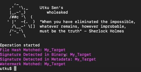 Github Utkusen Wholeaked A File Sharing Tool That Allows You To Find The Responsible Person