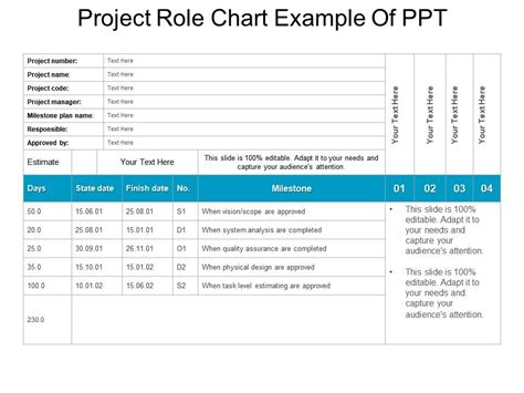 Project Role Chart Example Of Ppt Presentation PowerPoint Templates PPT Slide Templates