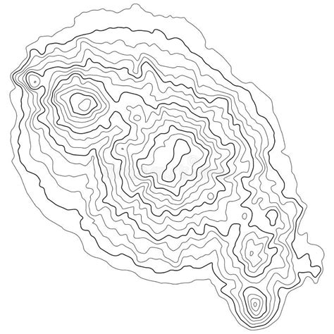 Topographic Map Background Grid Map Abstract Vector Illustration Stock Illustration