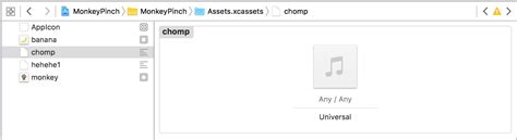 Xcode How Do I Load Sound Resource Urlforresource Returns Nil