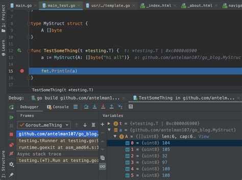 Why And How To Use Debugger With Go Golang For All