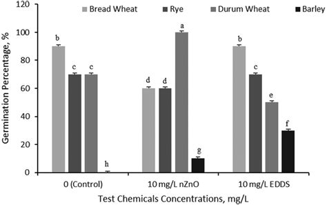Germination Percentage Of Bread Wheat Rye Durum Wheat And Barley Download Scientific Diagram