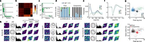 Differential Toroidal Tuning Of Grid Cell Subpopulations A Barcode Of Download Scientific
