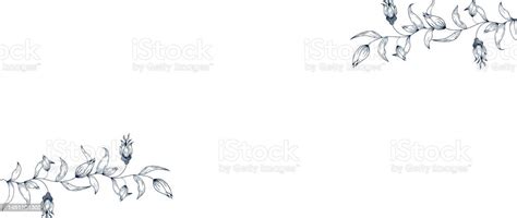 꽃 꽃 배경 프레임 테두리 섬세한 꽃과 새싹의 가지 윤곽선 손 그리기 조각 텍스트 공간 포함 0명에 대한 스톡 벡터 아트 및