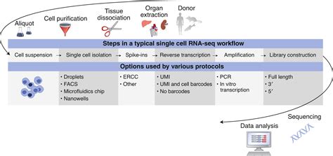 Guidelines For Reporting Single Cell Rna Seq Experiments Hidive Lab