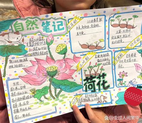 观察日记的手抄报怎么画 观察日记的手抄报怎么画绿豆 色粉画