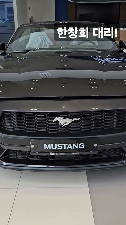 포드 머스탱 23 컨버터블 전국최고 할인 포드딜러 머스탱 포드머스탱 포드링컨 머스탱컨버터블 머스탱gt 머스탱할인 머스탱컨버 Youtube