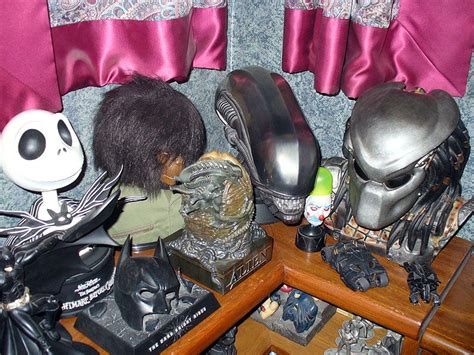 Welcome All Species To This Week S Shelf Porn