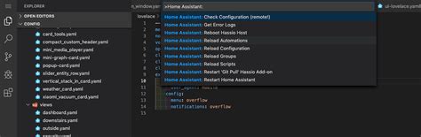 Home Assistant Community Add On Visual Studio Code Page 10 Home Assistant Os Home