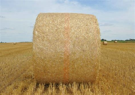 hay bale net wrap