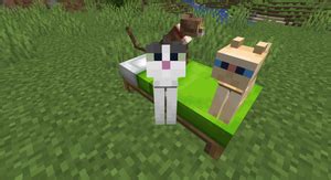 Jaguatirica Gatinhos Minecraft Gatinho Skins De Minecraft Novaskin