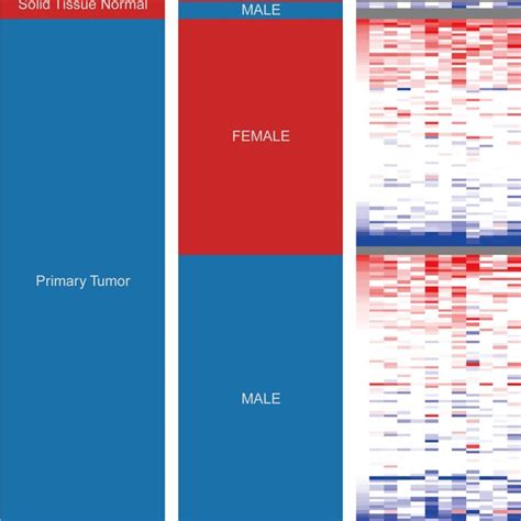 Hierarchical Clustering Of Hub Genes Was Constructed Using Ucsc Xena