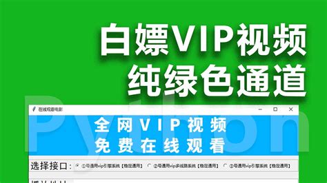 白嫖vip 用python做一个纯绿色解析软件 youtube